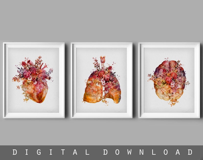 3 Watercolor Anatomy Heart Art Brain Art Lungs Art Floral - Etsy