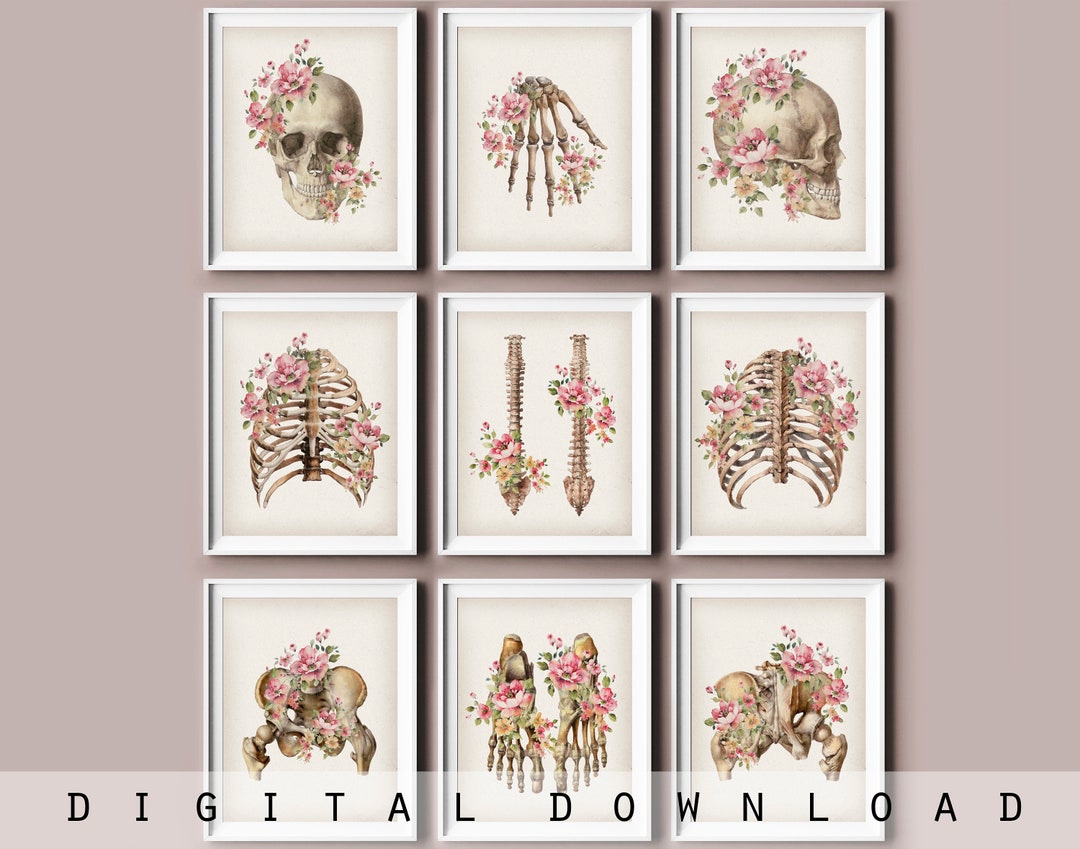9 Human Skeleton Anatomy Art, Vintage Drawing, Medical Artwork ...