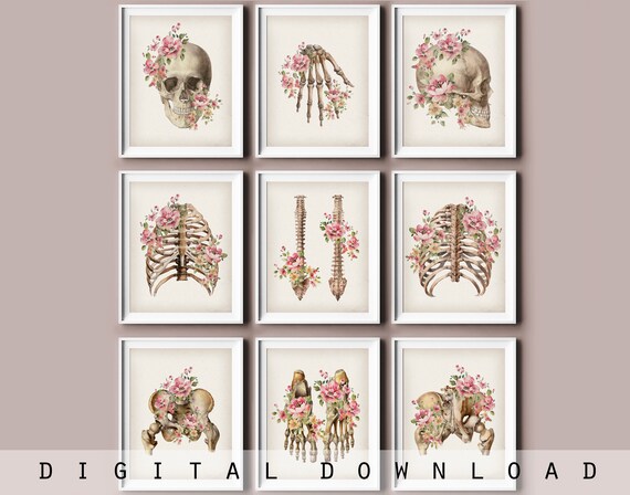 9 Human Skeleton Anatomy Art Vintage Drawing Medical | Etsy