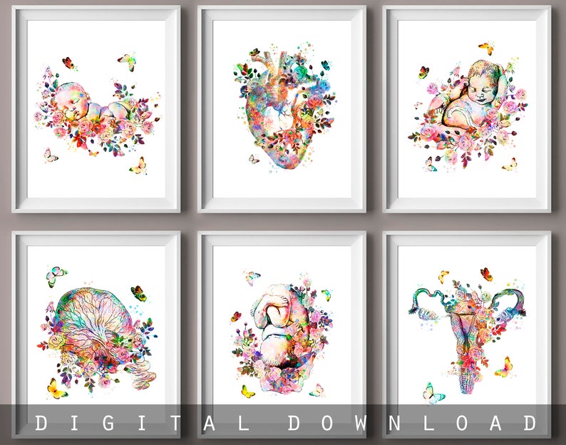 Infant Fetal Positions Poster Vintage Female Anatomy Art | Etsy