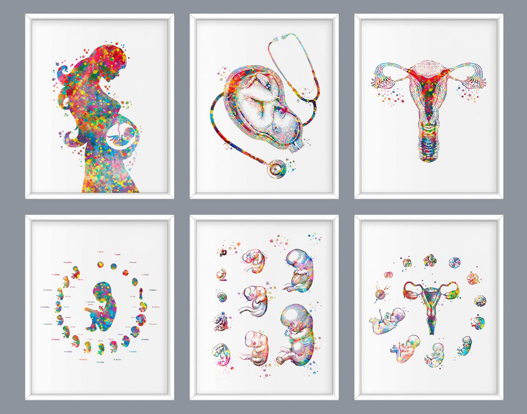 6 Pregnancy and Childbirth Art, Obstetrics Art, Fetus in Womb, Female ...