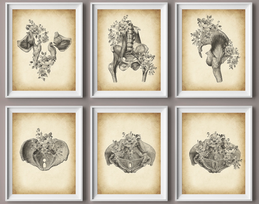 Floral Pelvic Anatomy Art Prints: Orthopedic Decor (digital Download ...
