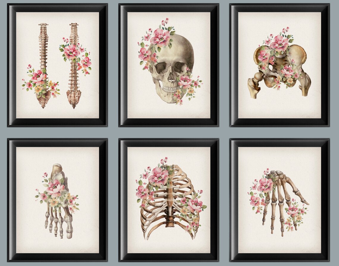 6 Vintage Skeleton Anatomy Art Human Physiology Art Medical - Etsy