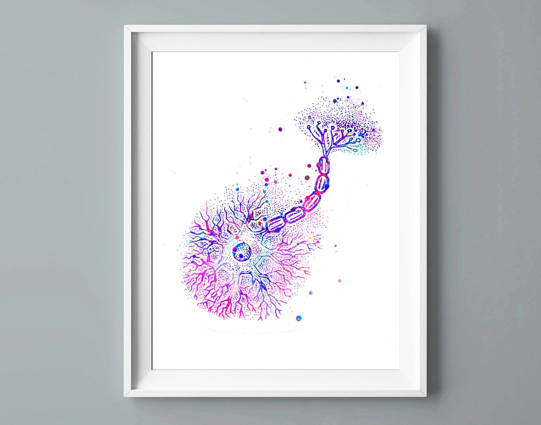 Neuron Art, Nerve Cell Poster, Medical Art, Neurology Art, Science Art ...