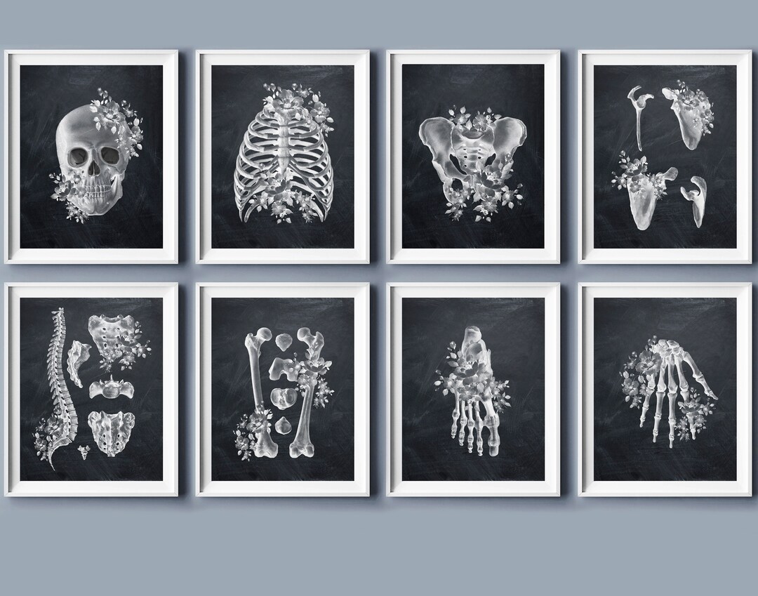 Set 8 Floral Anatomy Art Human Skeletal System Art Physiology Artwork ...