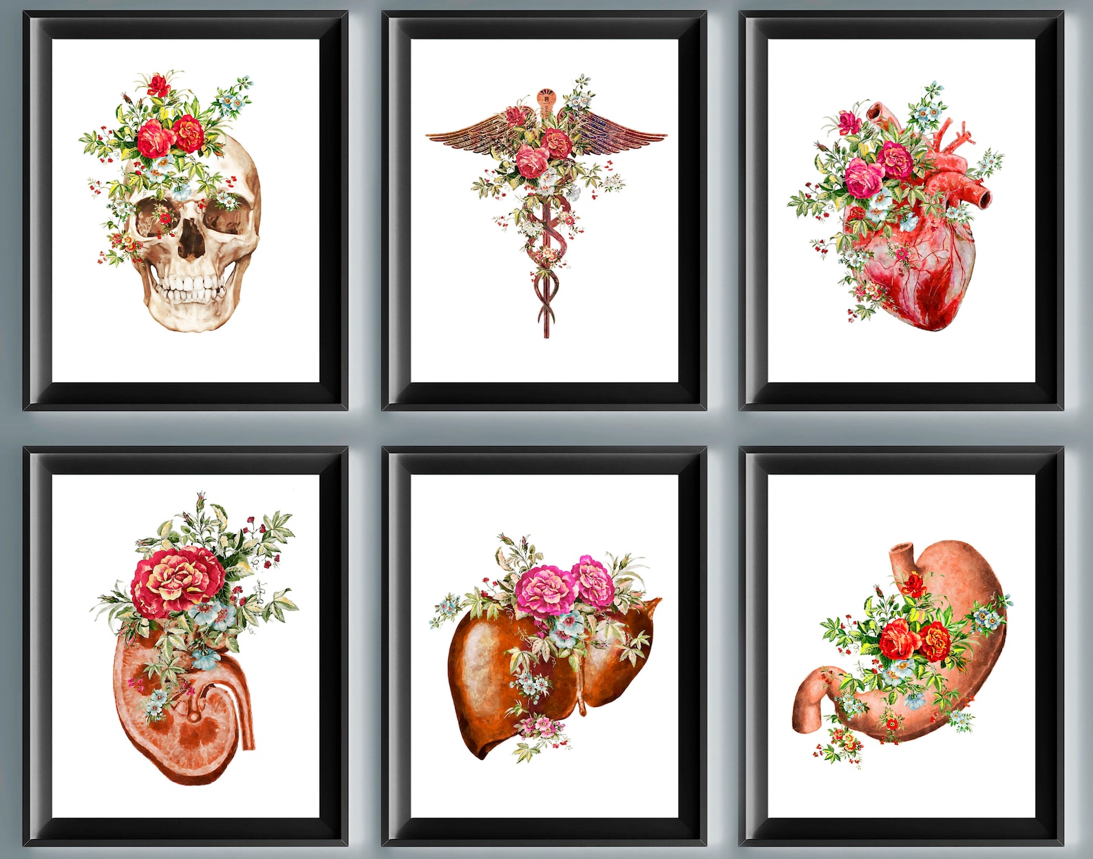 6 Anatomy Floral Art Caduceus Art Human Skull Art Anatomical - Etsy
