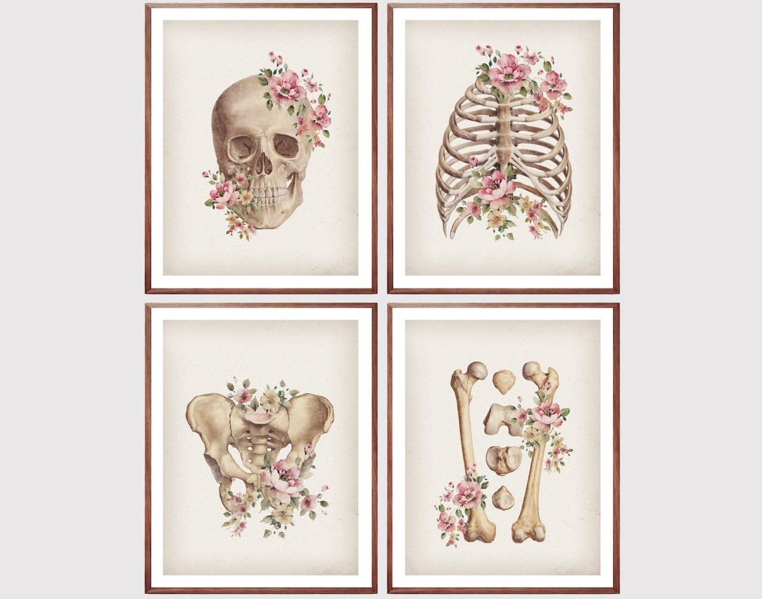 4 Vintage Skeletal System Anatomy Art Medical Art Skeleton Bones ...