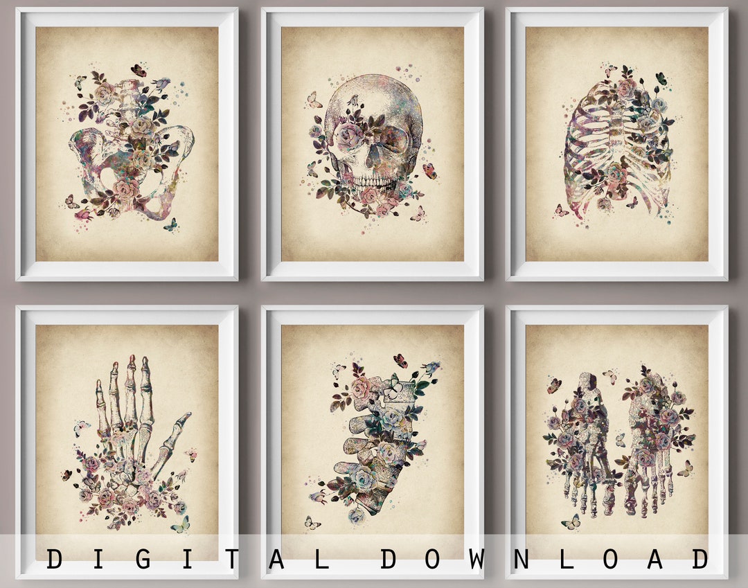 6 Vintage Skeleton Art Human Anatomy Drawing Medical Art Skeletal Bones ...