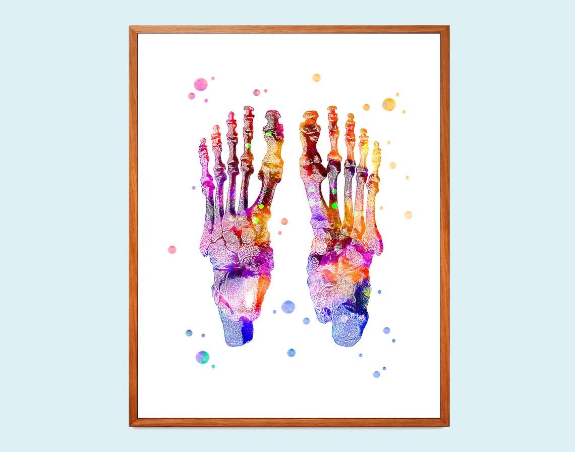 Human Foot Anatomy Art Foot Bones Skeletal Bones Orthopedic - Etsy