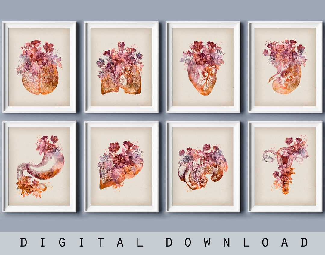 Vintage Anatomy Watercolor Print Set: Floral Human Organs (digital ...