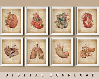 8 Anatomical Drawing Human Internal Organs Art Physiology Art | Etsy