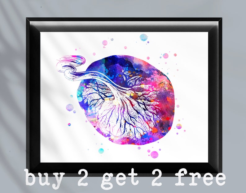 Watercolor Placenta Art Midwife Gift Obgyn Poster Afterbirth - Etsy