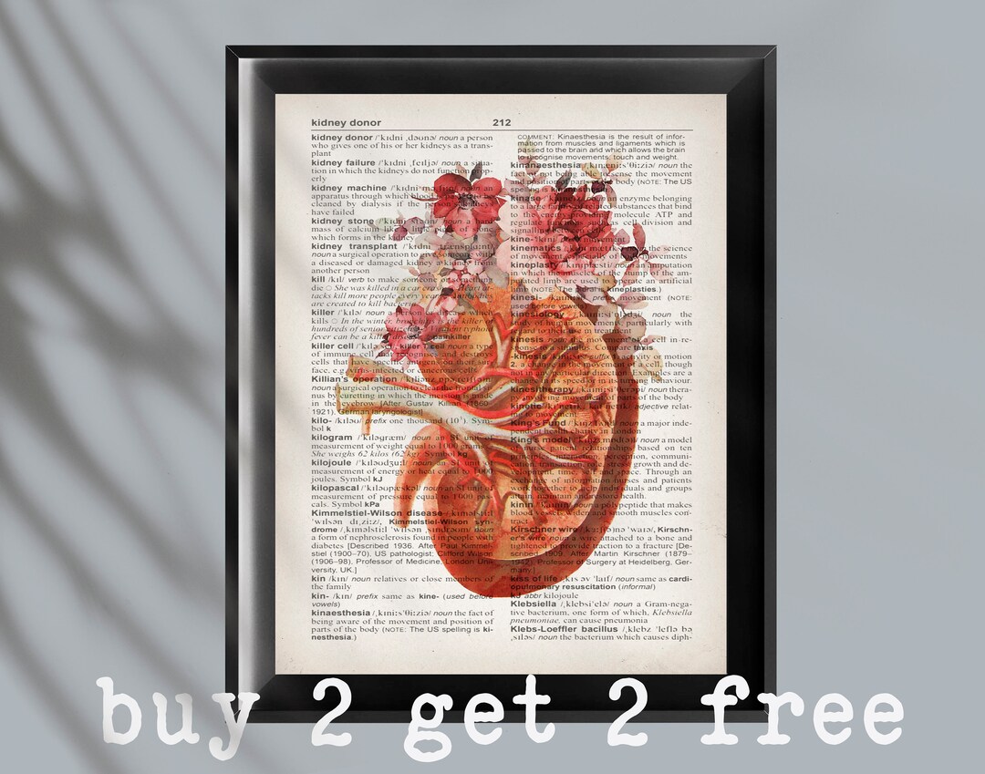 Kidney Anatomy Art Vintage Dictionary Art Medical Art Nephrologist Gift ...