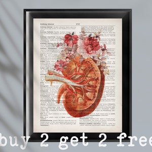 Kidney Anatomy Art Vintage Dictionary Art Medical Art Nephrologist Gift ...