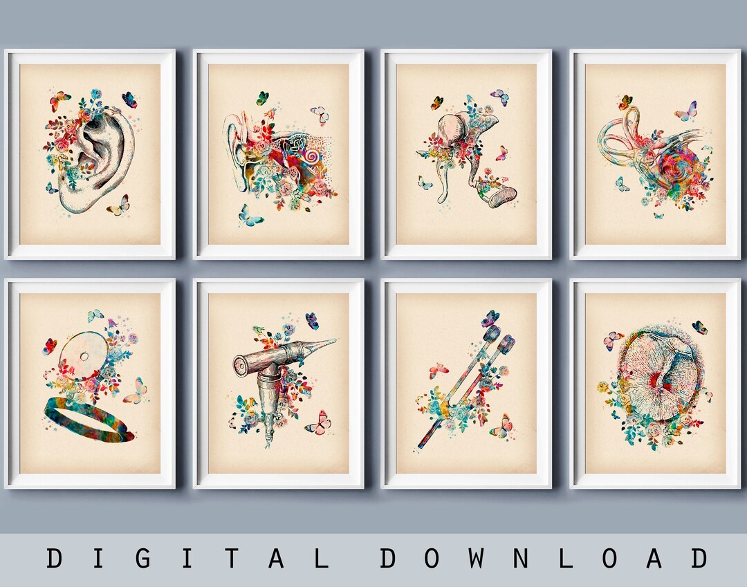 8 Human Hearing System Anatomy Art, Anatomical Ear, Inner Ear Structure ...