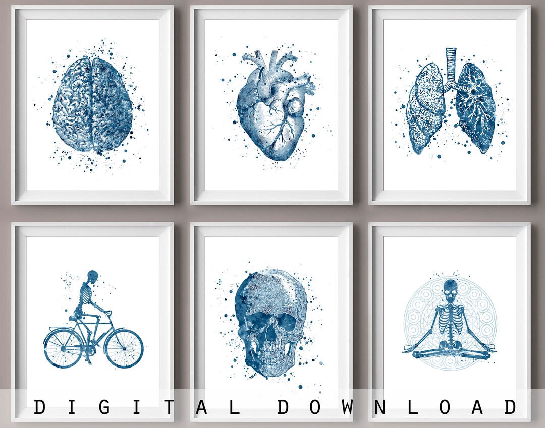 6 Human Anatomy Decor, Medical Art, Doctor Gift, Anatomical Heart ...