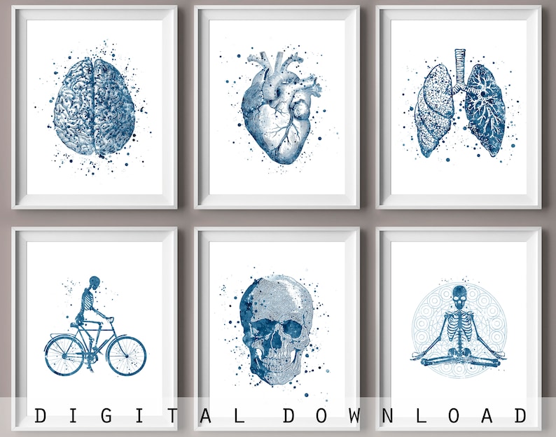 6 Human Anatomy Decor Medical Art Doctor Gift Anatomical - Etsy