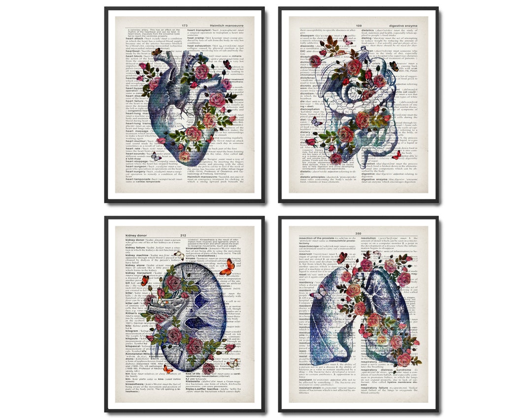 Set 4 Doctor Gift, Vintage Anatomy Art, Medical Dictionary, Science Art ...