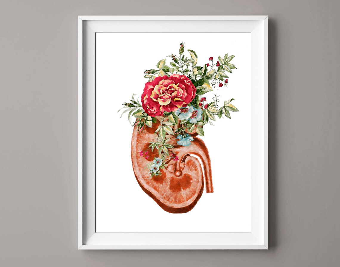 Floral Kidney Art Watercolor Anatomy Artwork Surgeon Gift - Etsy