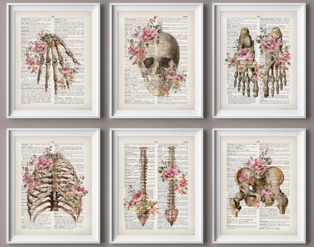 6 Floral Skeleton Anatomy Artworks Medical Dictionary Page Painting ...