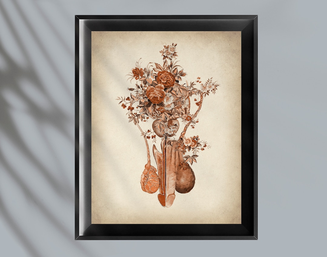 Vintage Male Anatomy Art Anatomical Penis Poster Reproductive System ...