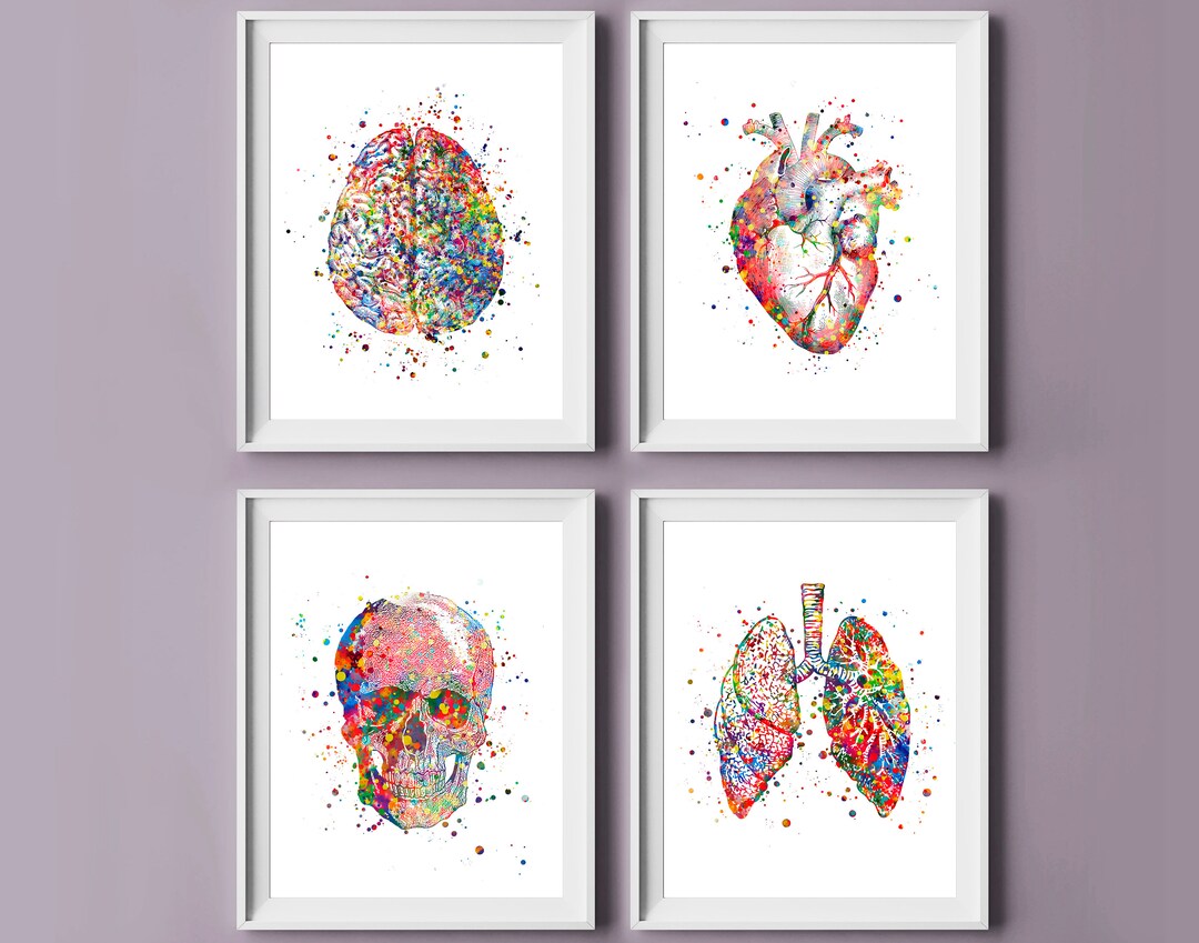 4 Anatomy Art, Watercolor Medical Art, Human Skull Art, Anatomical ...