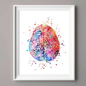 Watercolor Brain Anatomy Art Neuroscience Art Neurology Art Medical Art ...