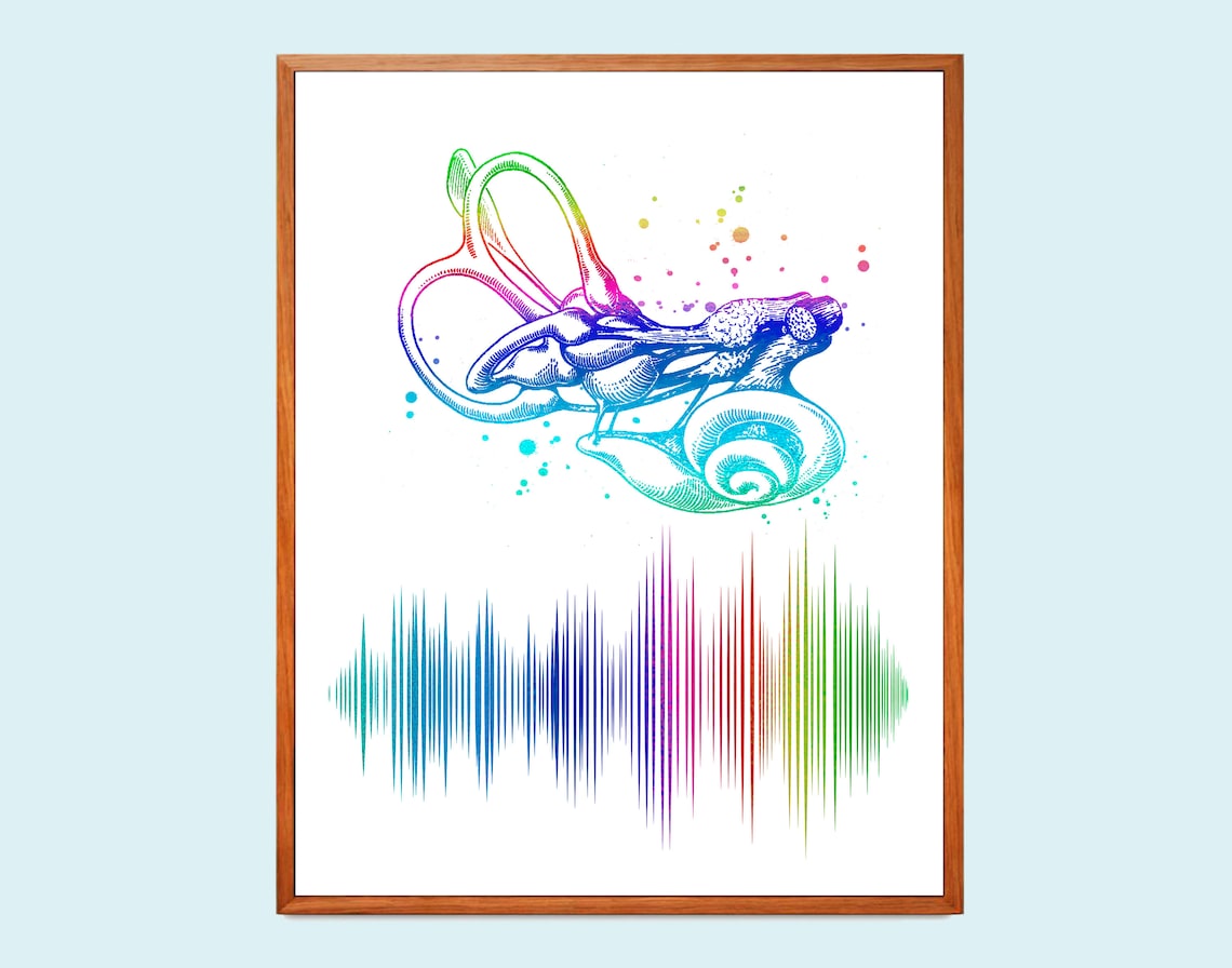 Cochlea Print Audiowaves Art Inner Ear Anatomy Vestibular - Etsy