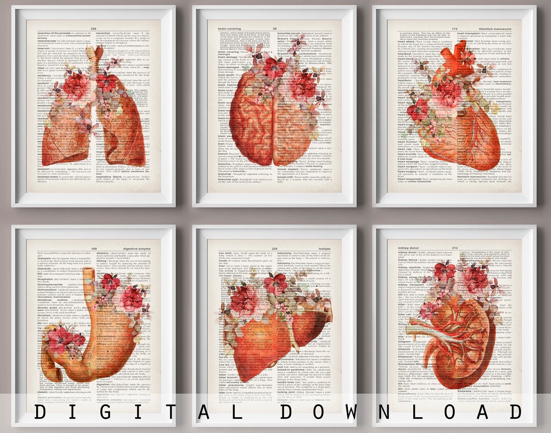 6 Vintage Anatomy Art Floral Medical Art Dictionary Art Human Organ Art ...