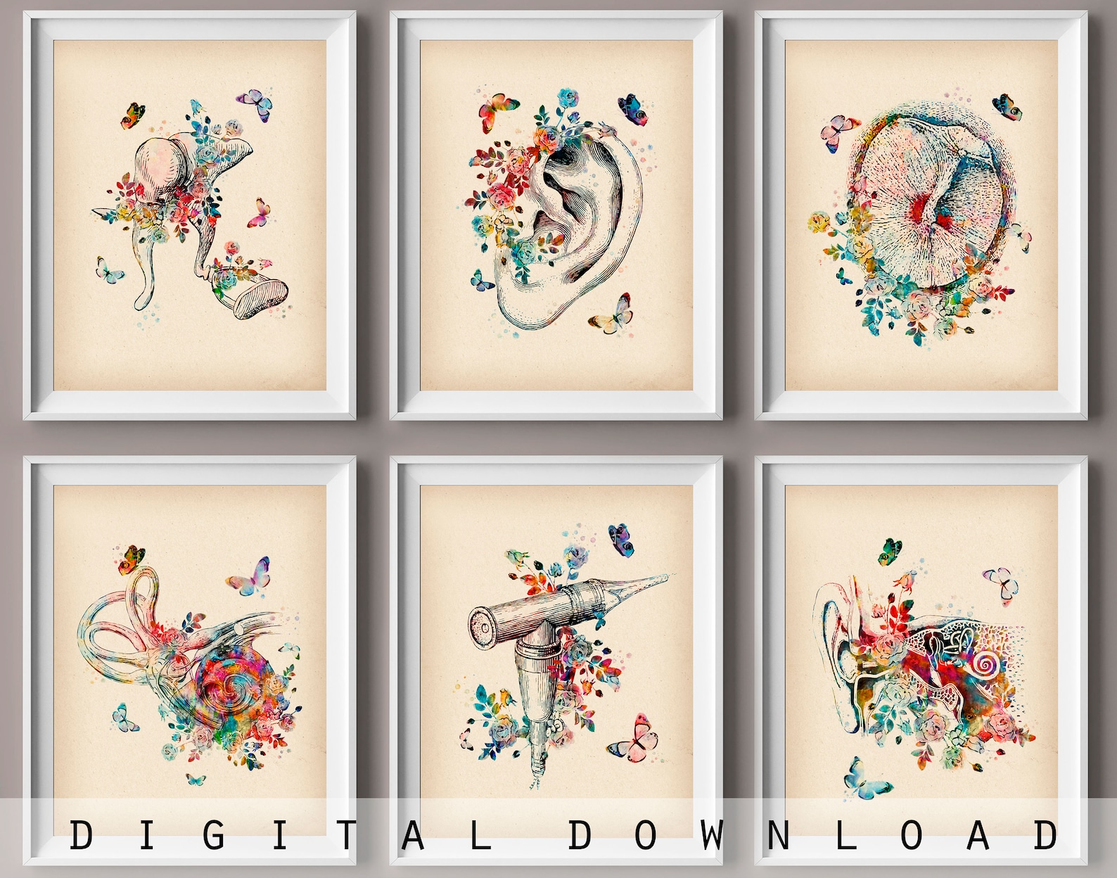 6 Vintage Ear Anatomy Art Medical Decor Audiology Art | Etsy