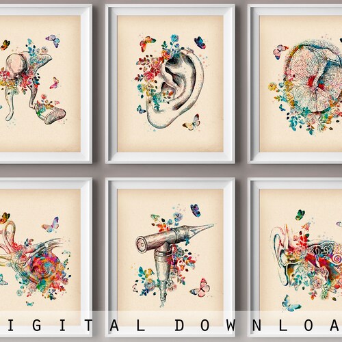 6 Vintage Ear Anatomy Art Medical Decor Audiology Art - Etsy