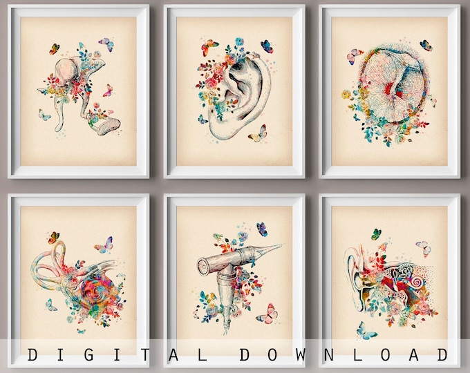 Audiology Art Audiologist Gift Human Ear Anatomy Watercolor Print ...