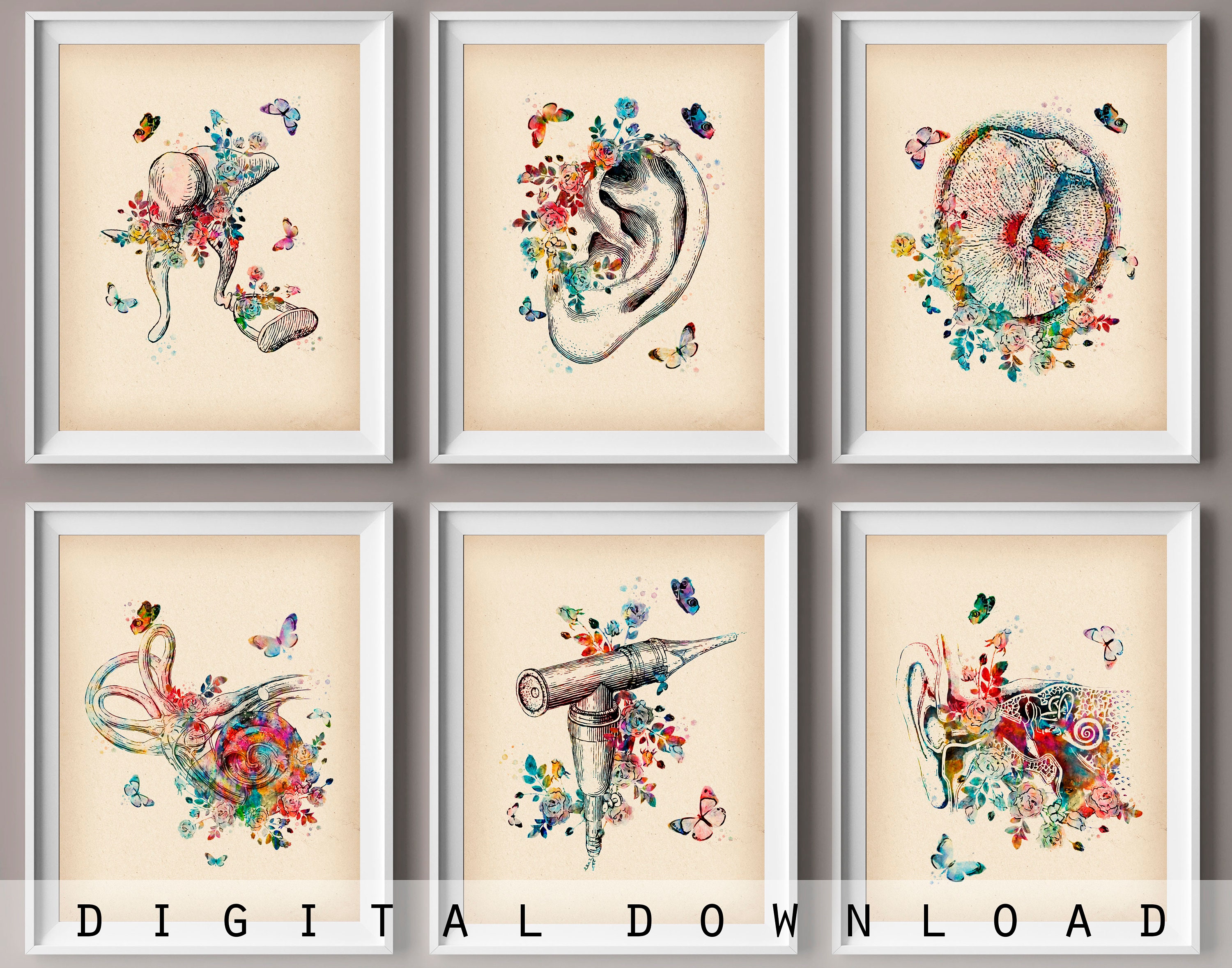 6 Vintage Ear Anatomy Art Medical Decor Audiology Art - Etsy