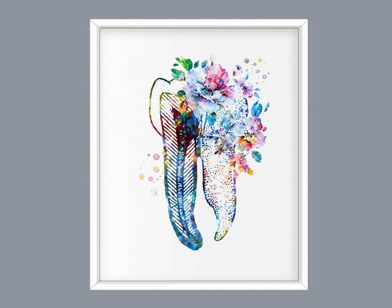 Watercolor Tooth Anatomy Art Dental Artwork Medical Poster - Etsy