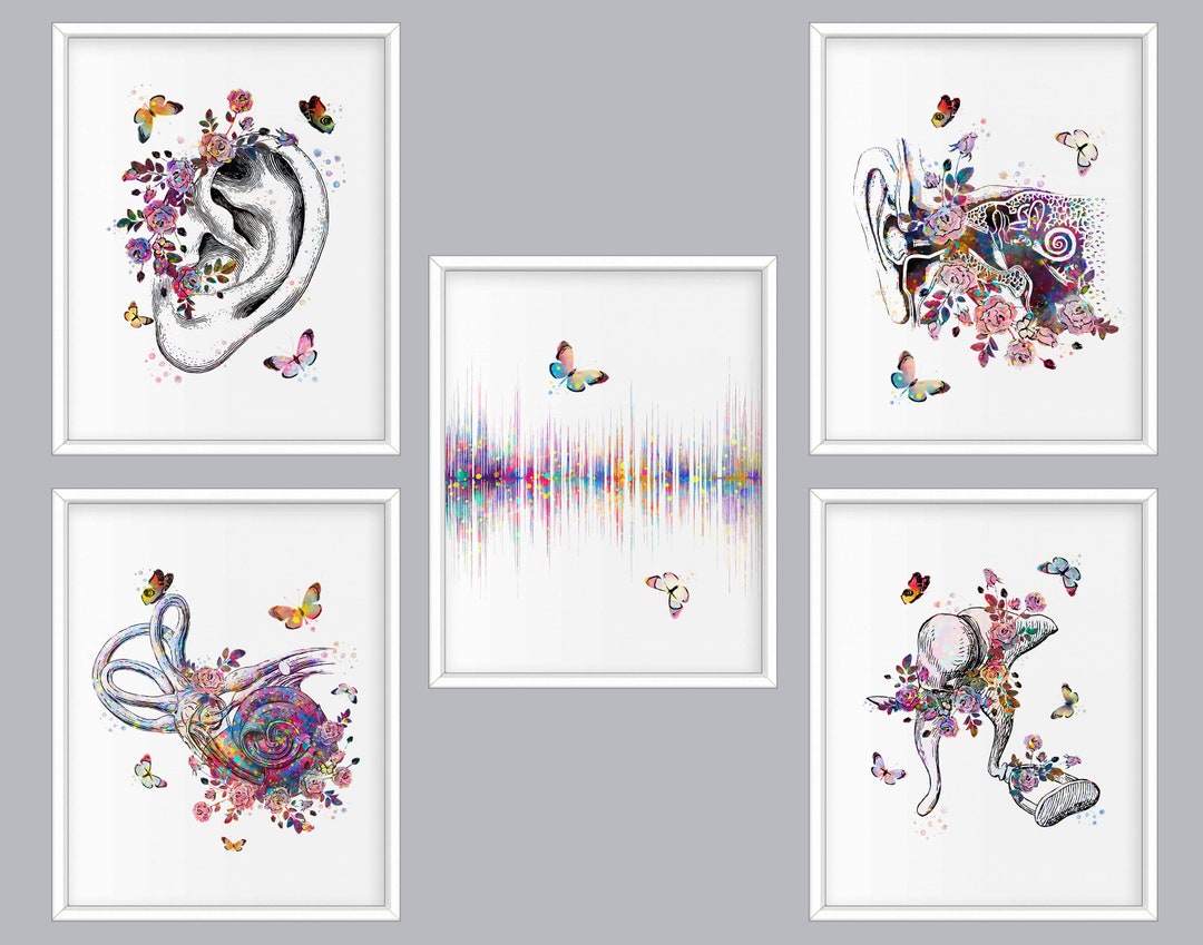 5 Watercolor Ear Anatomy Art, Audiology Art, Medical Art, Inner Ear ...