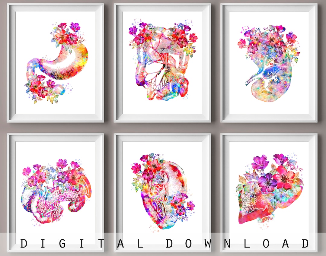 Digestive System Anatomy Art Gastroenterologist Gift GI Tract Organs ...