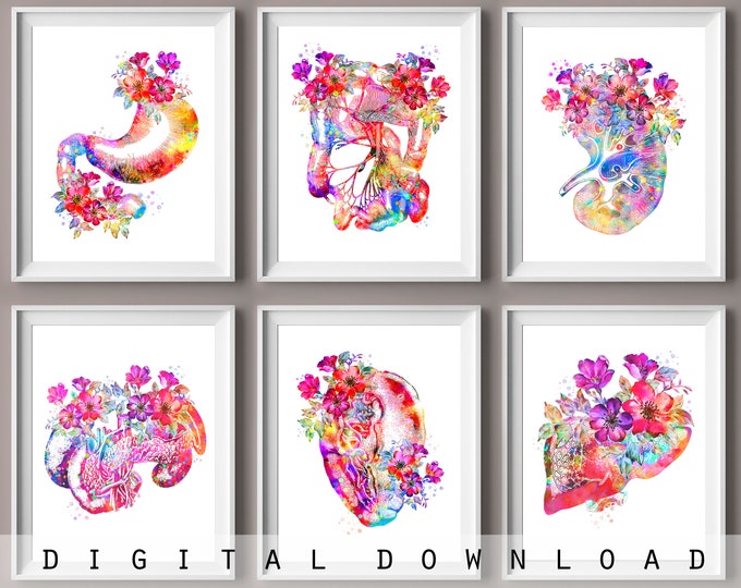 Digestive Tract Poster GI Anatomy Art 8x10 11x14 16x20 18x24 24x36 ...
