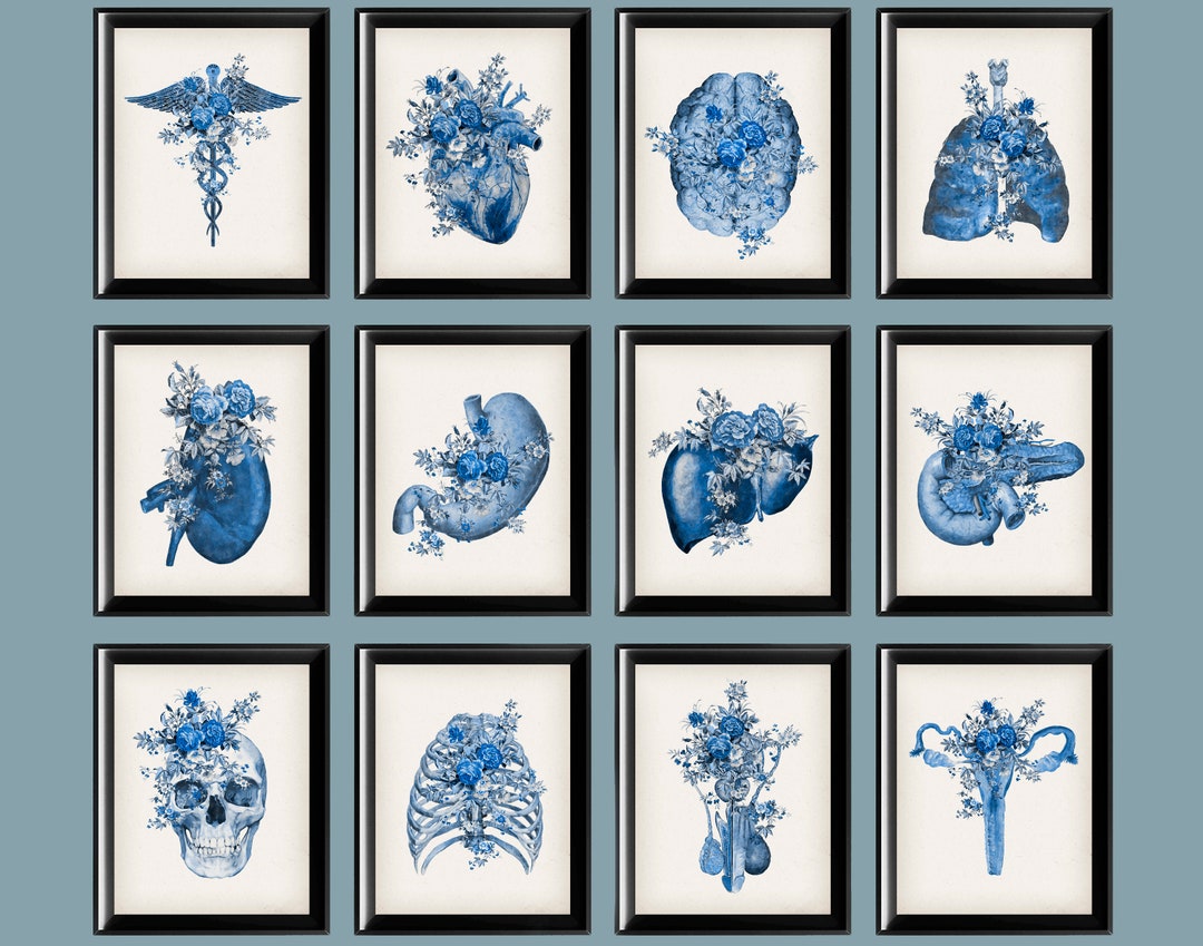 Set 12 Watercolor Anatomy Art Floral Medical Art Human Brain Heart ...