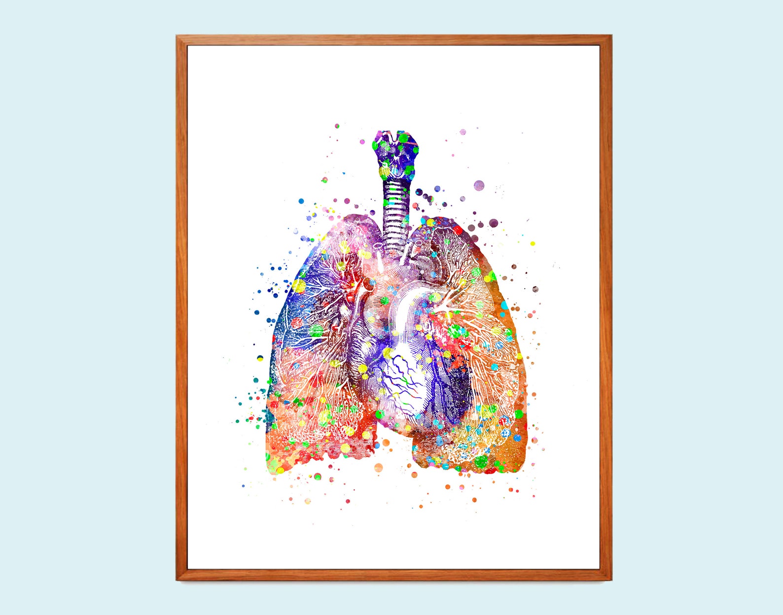 Anatomical Lungs and Heart Art: Watercolor Respiratory System (digital ...