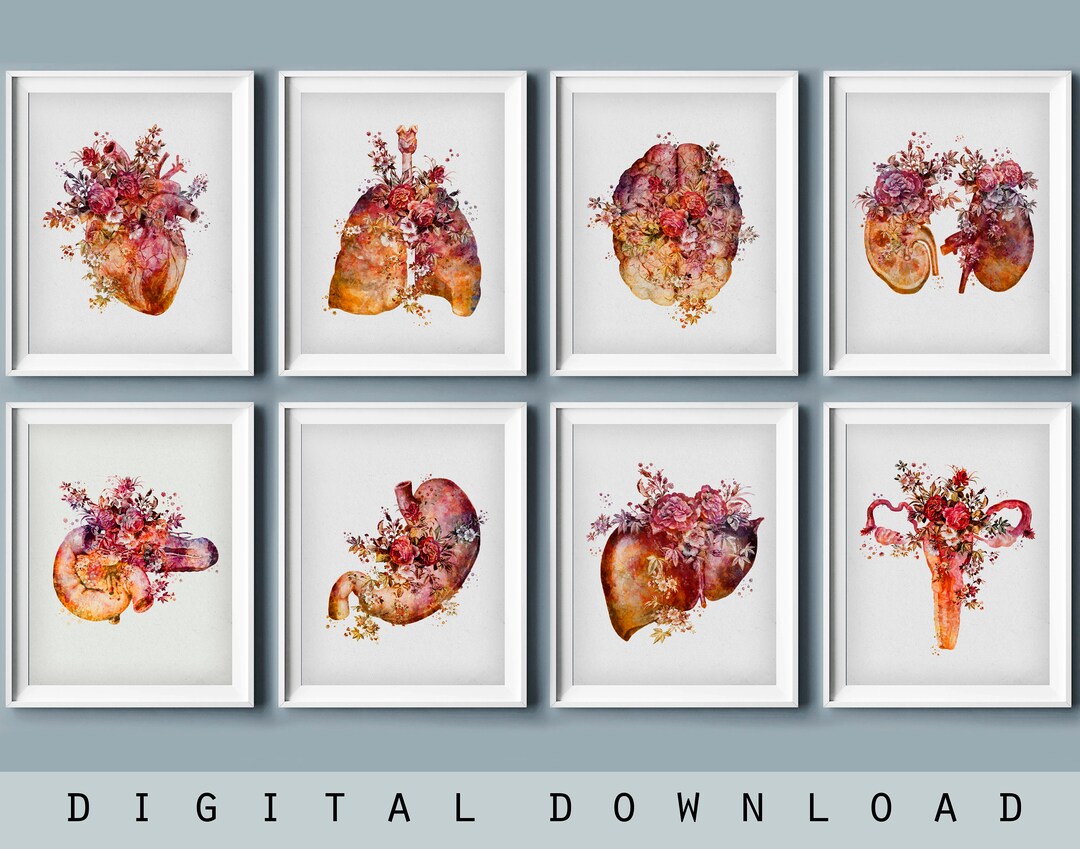 Set 8 Vintage Anatomy Art Watercolor Medical Art Anatomical Organ ...