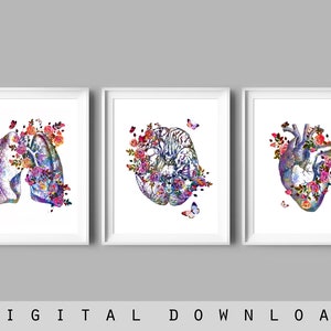 3 Anatomy Artwork Hand Drawn Organ Art Medical Art Floral Human Brain ...