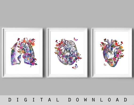 3 Anatomy Artwork Hand Drawn Organ Art Medical Art Floral | Etsy
