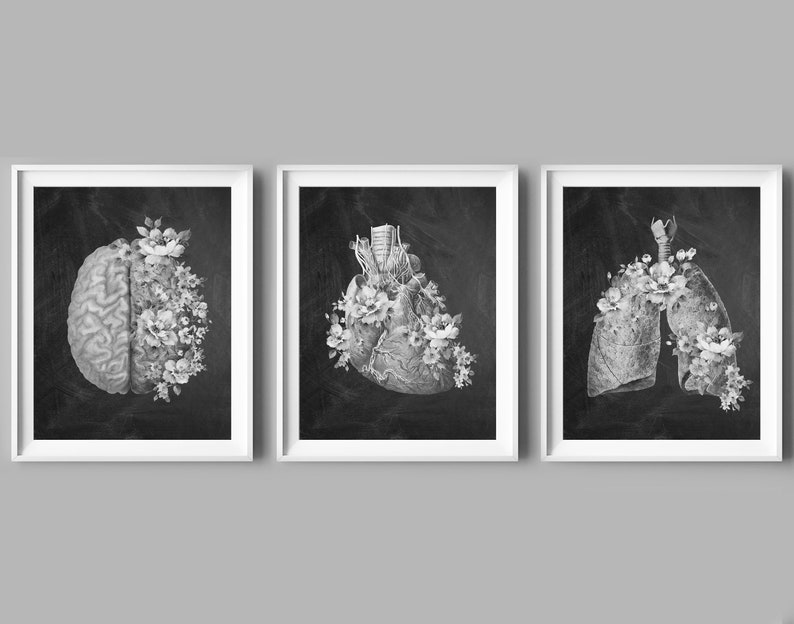 Doctor Gift Anatomy Art Medical Decor Chalkboard Drawing - Etsy