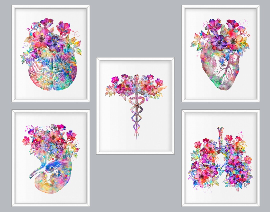 Set 5 Floral Anatomy Artwork Watercolor Medical Art Caduceus Art Brain ...