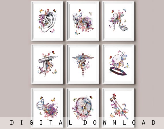 9 Audiologist Gift Otolaryngologist Gift Human Ear Anatomy | Etsy