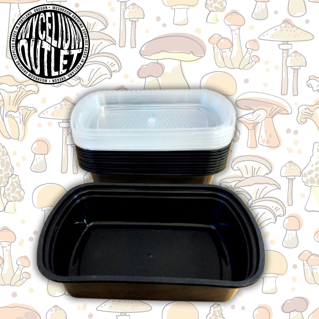 5 Pcs Black Rectangular Container With Lid - Etsy