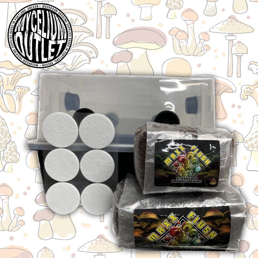 Monotub Complete Grow Kit - Etsy