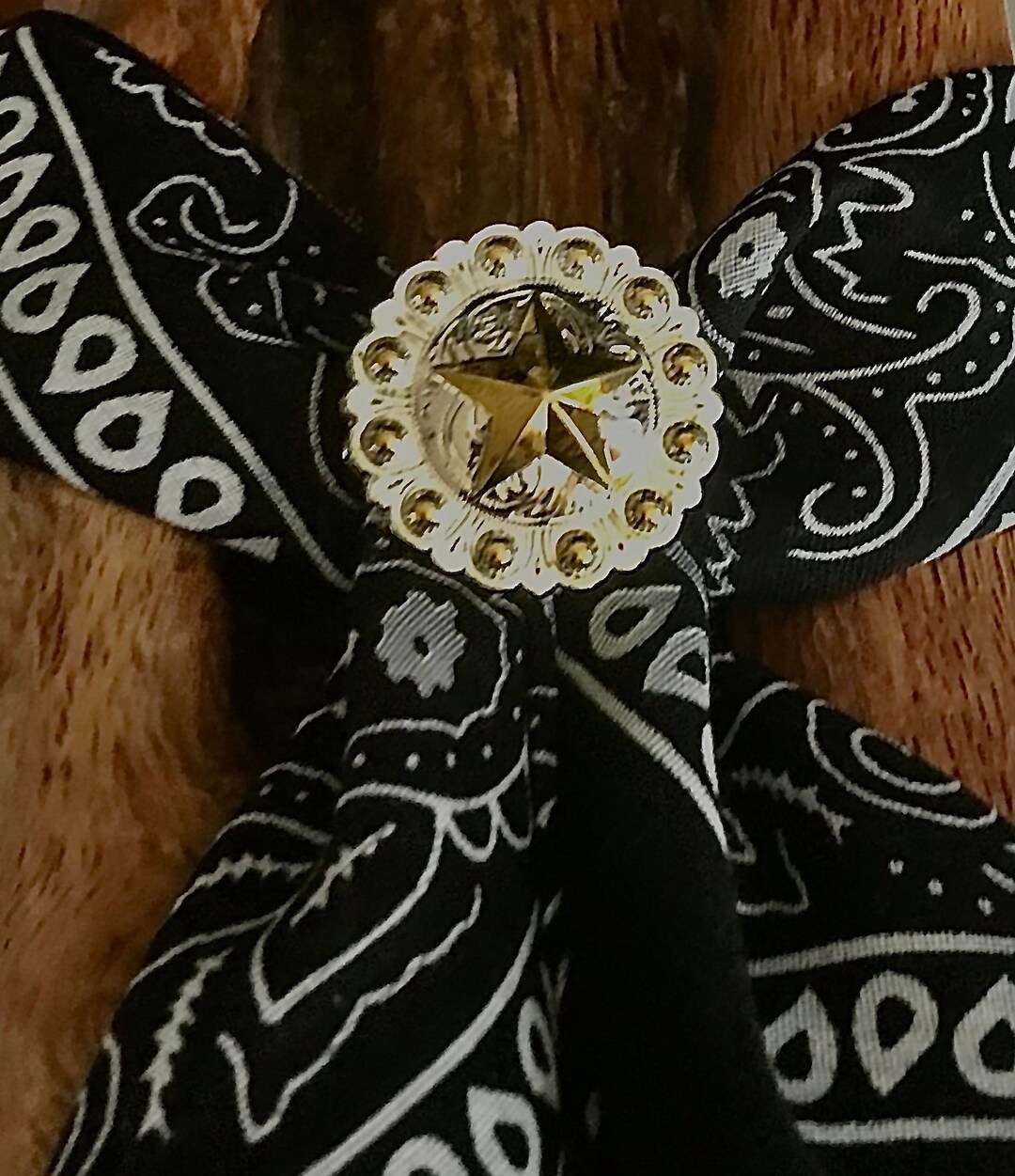 Gold Scarf Slide | Star and Concho Berry | Wild Rag Slide - Etsy