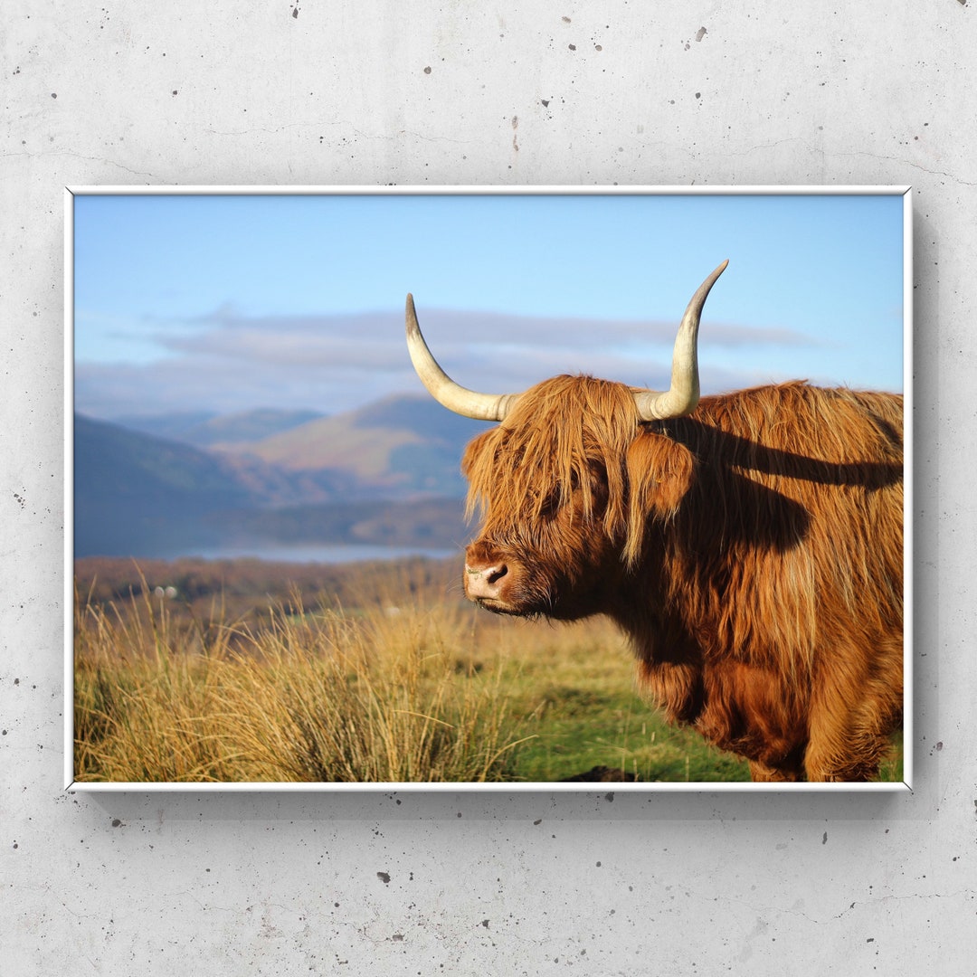 Original Scottish Photography, Scottish Print, Scottish Wall Art ...
