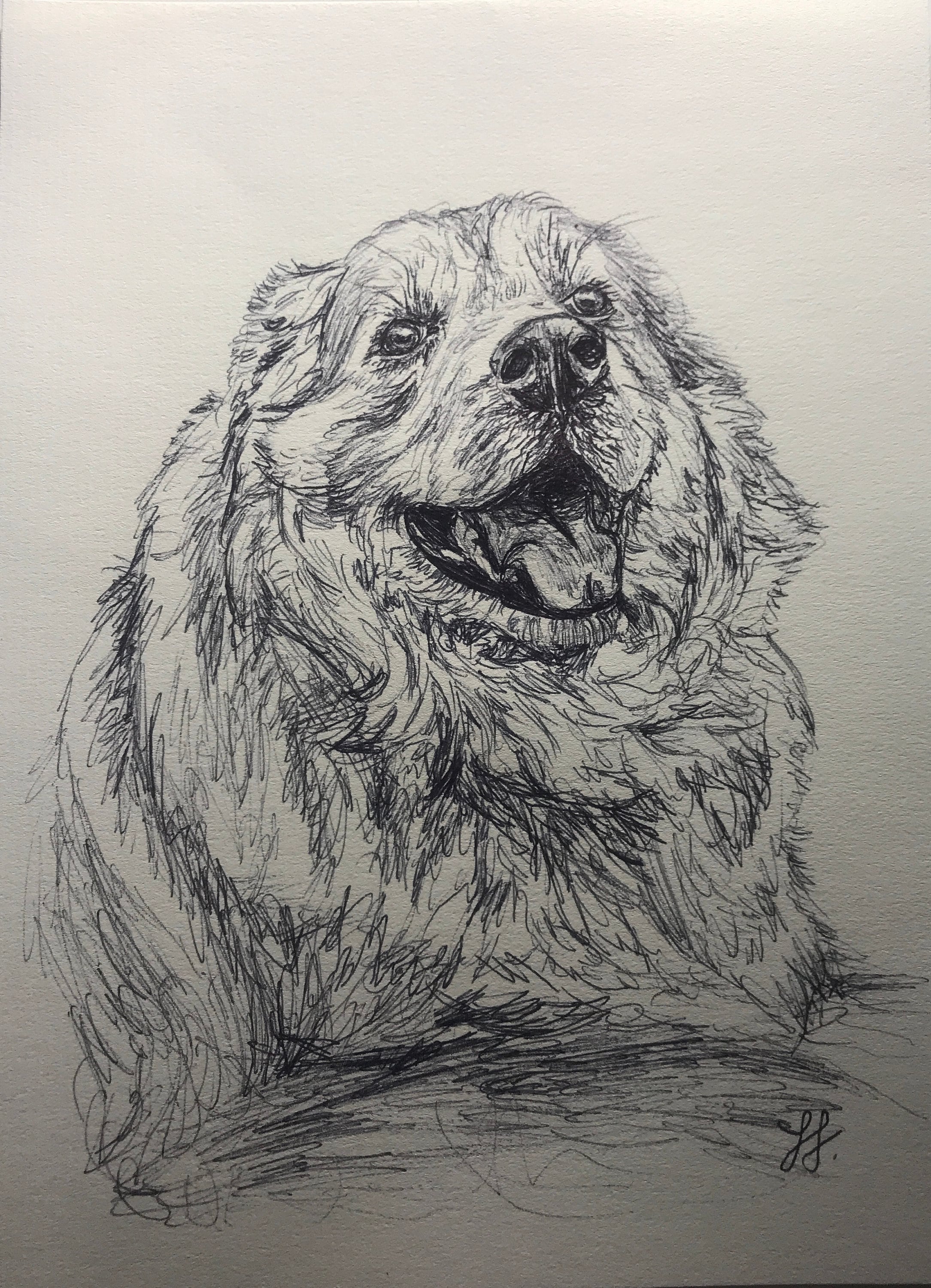 Custom Ink Portraits - Etsy